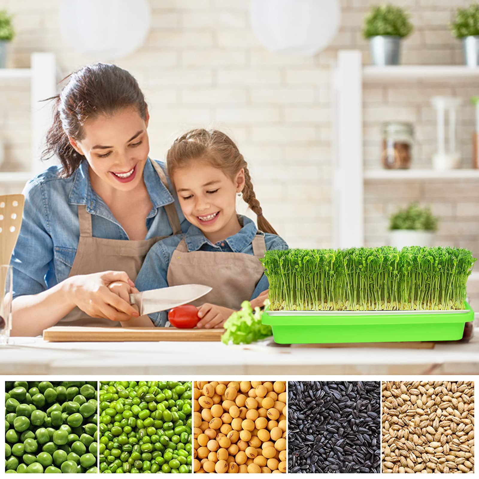 Senwow Seed Sprouter Tray with Lid 6 Pack, BPA Free Nursery Tray Seed Germination Tray Healthy Wheatgrass Seeds Grower & Storage Trays for Garden Home Office