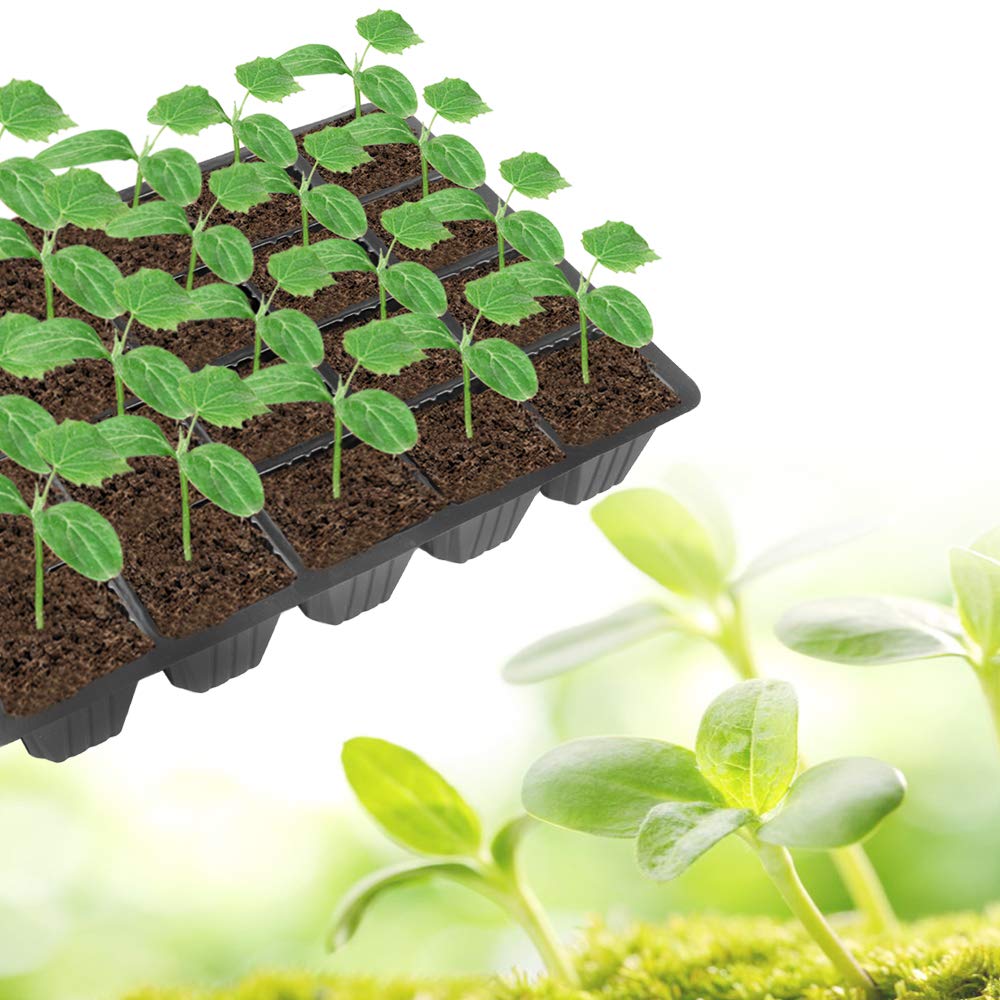 SHIYETA 240 Cells -24 Grow Trays with Humidity Dome and Cell Insert - Mini Propagator for Seed Starting and Growing Healthy Plants Durable Reusable and Recyclable 10 Pack