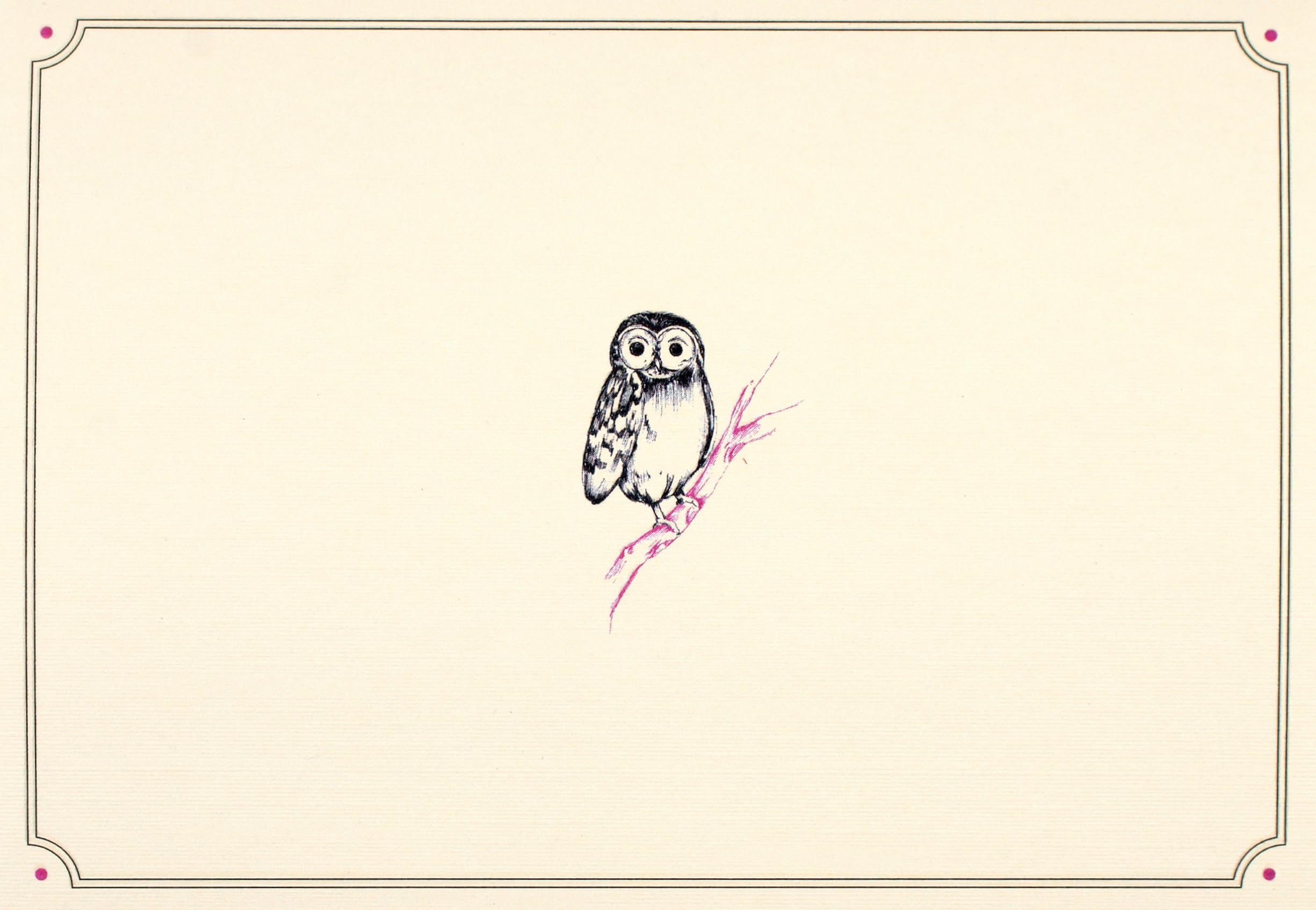 Owl Portrait Note Cards (Stationery, Boxed Cards)