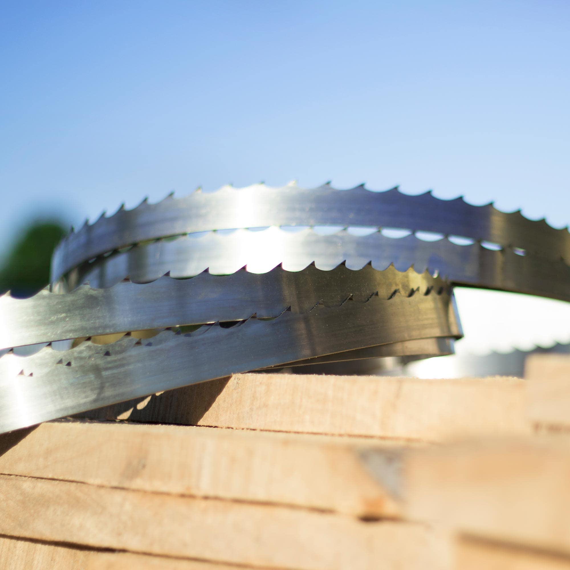 Wood-Mizer DoubleHard 158" Sawmill Bandsaw Blades 10° All-Purpose Sawing - 5 Pack