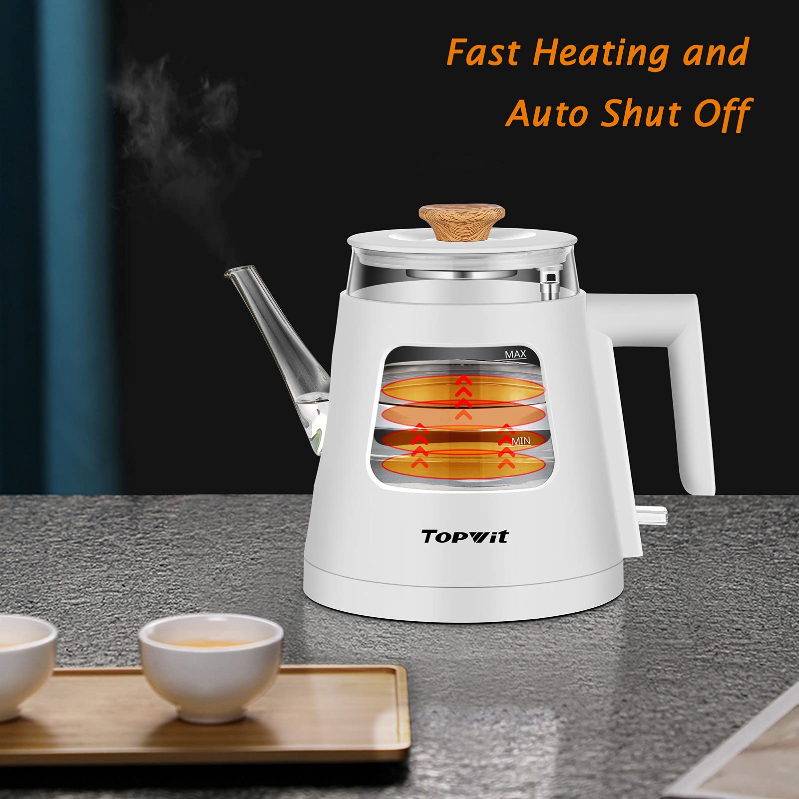 TOPWIT Electric Kettle, 1.0L Electric Tea Kettle with Removable Stainless Steel Infuser, BPA-Free Electric Glass Kettle with Window, Double Wall Water Warmer, Gooseneck Kettle, Auto-shut Off, White