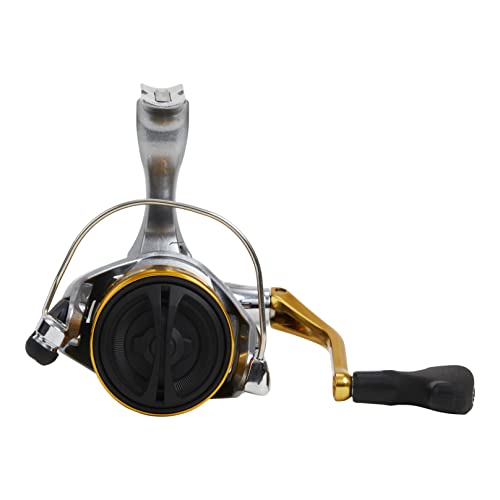 SHIMANO Sedona 1000FI, Freshwater Spinning Fishing Reel