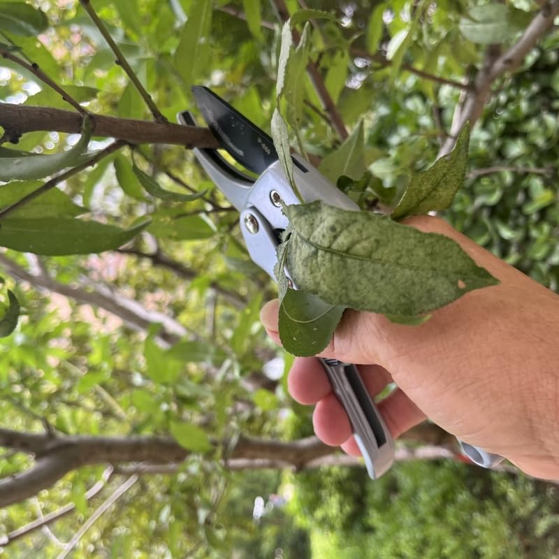 Pruning Shears, Pruning Shears for Gardening, Professional Garden Shears Clippers/Pruning Scissors Labor-Saving with Coated Stainless Steel Blades & Non-slip Handle
