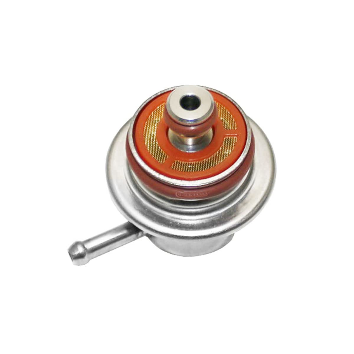 QFS OEM Marine/Outboard Fuel Pump Replacement for Mercury Outboard 30 40 50 60 HP, 2002-2006, OEM 883202T02, 883202A0, 883257T1 with Fuel Pressure Regulator