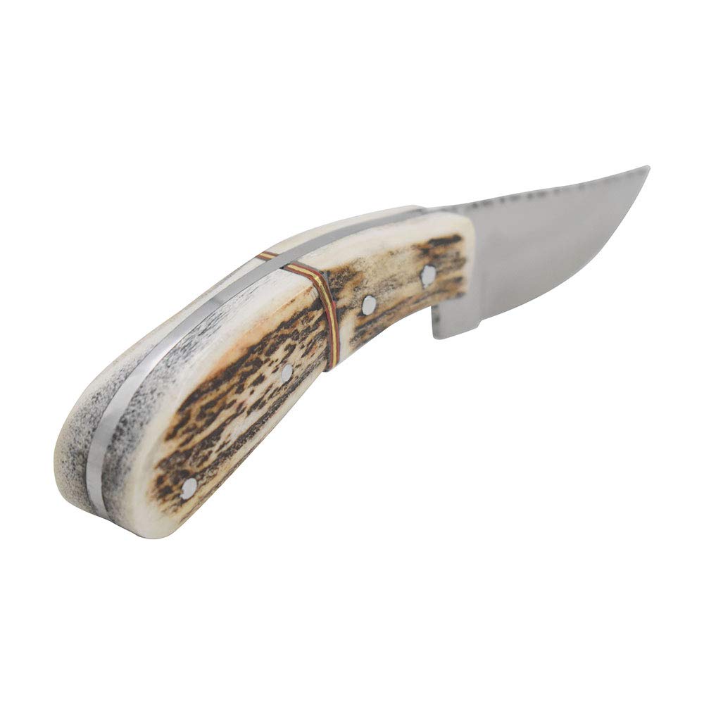 Wild Turkey Handmade Collection Full Tang Fixed Blade Hunting Knife w/Genuine Leather Sheath (Stag)