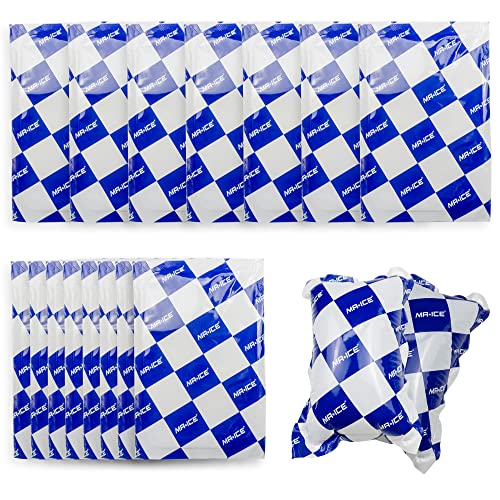 Shipping Cold Packs Ice Pack Sheets for Coolers Reusable, Ice Pack for Shipping Frozen Food, Shipping Dry Ice Pack Freezer Pack for Lunch Bag Long Lasting Cool Packs for Shipping, 6.9" x 4.7" 15 Packs