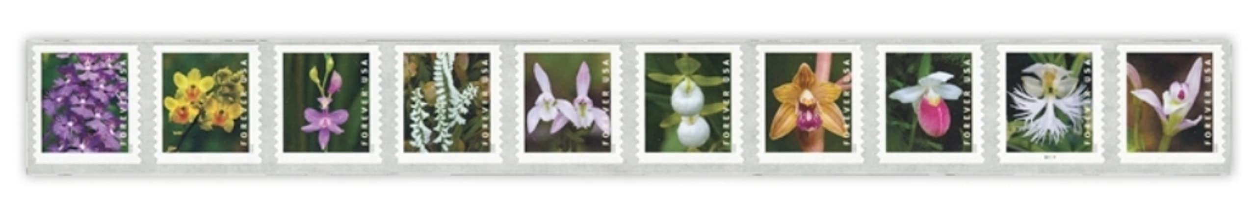USPS Wild Orchids Flowers Forever Stamps Postal First Class US Postage Stamps Birthday Wedding Celebration Engagement Anniversary Bridal Shower (Strip of 10)