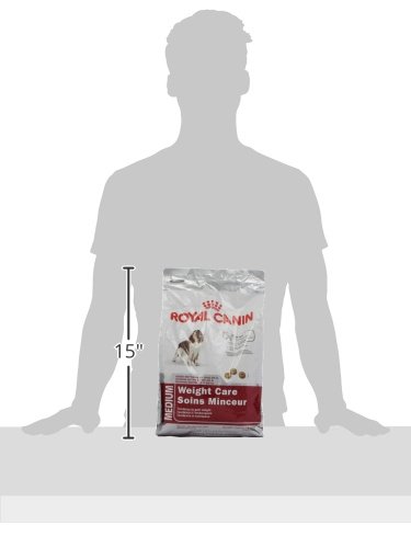 Royal Canin Medium Weight Care Adult Dry Dog Food for Medium Breeds, 6 lb bag