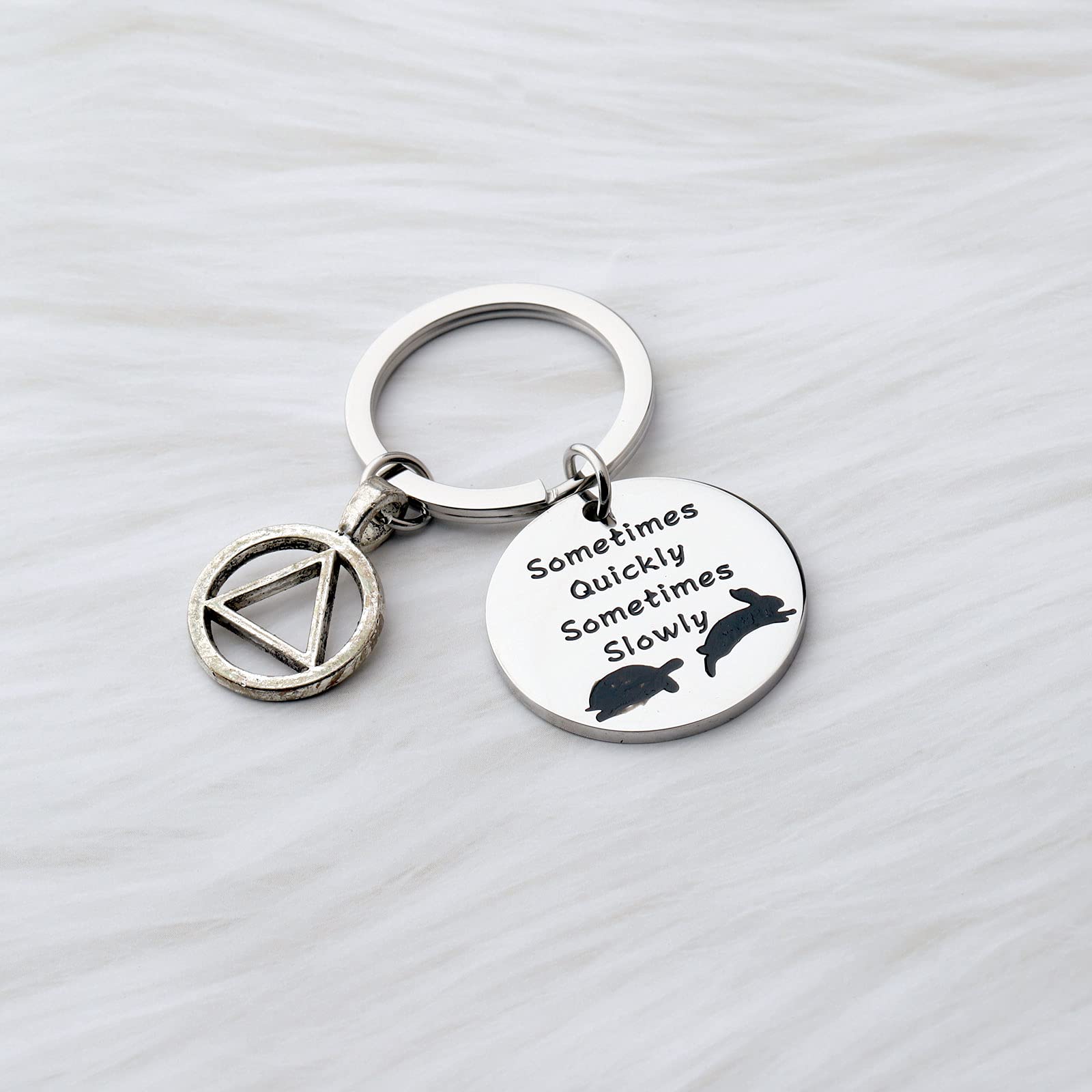 TIIMG Tortoise and Hare Sobriety keychain AA NA Inspirational Gift 12 Step Gifts New Beginning Gift (Sometimes Quickly)
