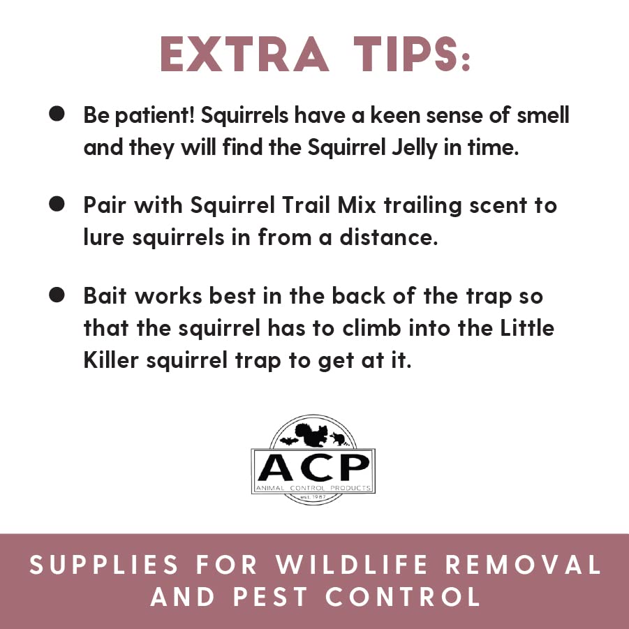 Squirrel Jelly Paste Bait 8 Ounce | Irresistible Sweet Scented & Highly Attractive Lure for Red & Grey Squirrels Chipmunks | Good All Season Long