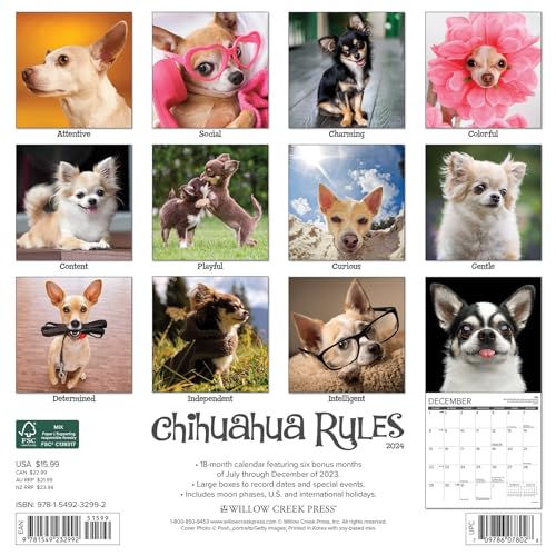 Willow Creek Press Chihuahua Rules Monthly 2024 Wall Calendar (12" x 12")