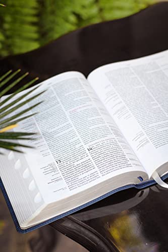 Reina Valera Revisada, Biblia de Referencia Thompson, Leathersoft, Azul añil, Palabras de Jesús en Rojo, con Índice (Spanish Edition)