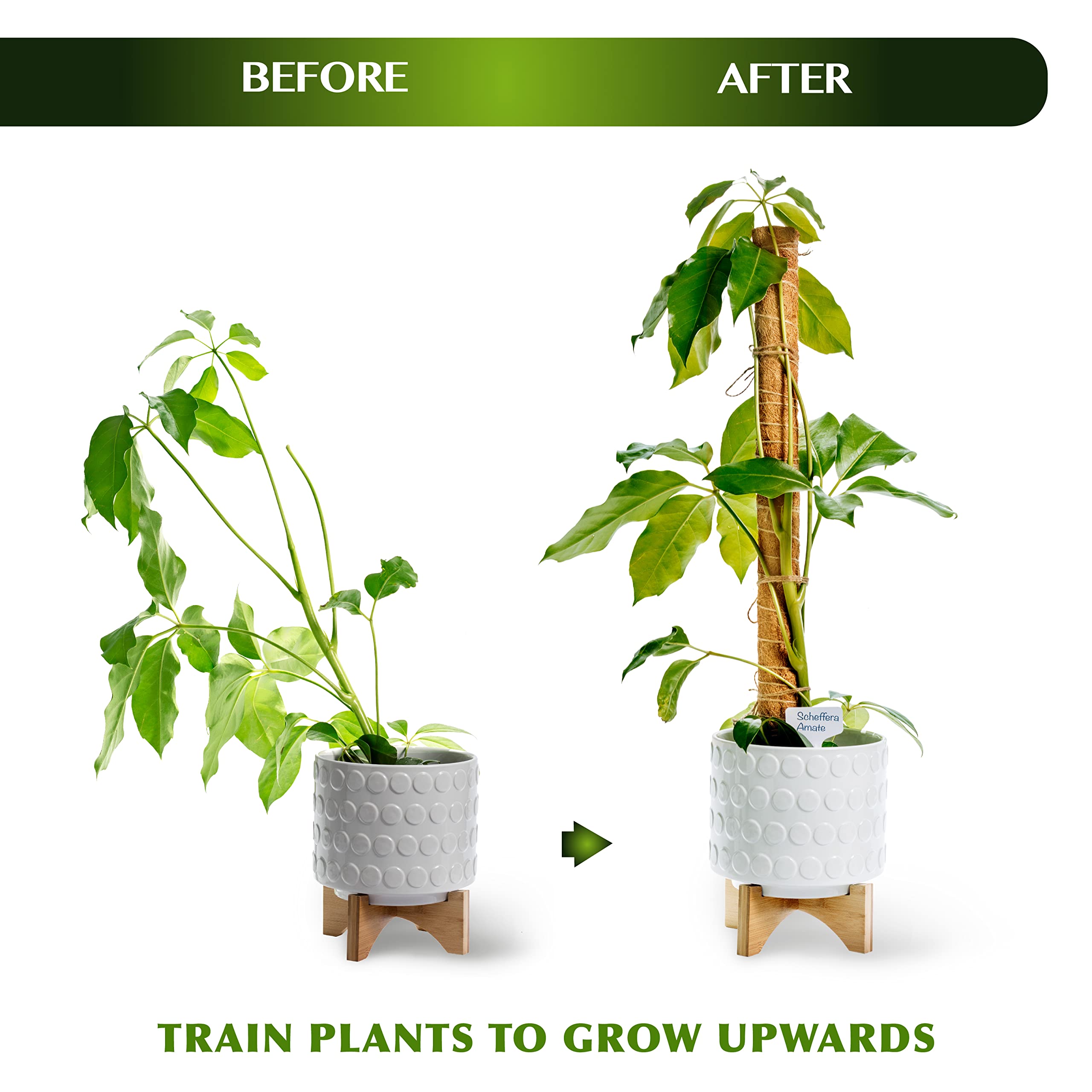Voorjaar Moss Poles for Climbing Plants Monstera, 27 Inches 2 Pcs Indoor Plant Stakes to Support Upward Growth - Extendable 16" Coco Coir Poles with 4 Jute Strings and 10 Plant Labels