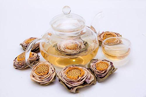 Tea Lotus Flower Tea Herbal Dried Whole Blossom - 5 per Box