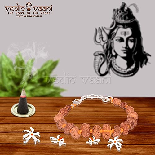 Vedic Vaani Certified 1-14 Mukhi Siddhi Java Rudraksha Bracelet | 1-Face Ek Mukhi Ganesha Vighnaharta Rudraksh Locket (Pack of 2)