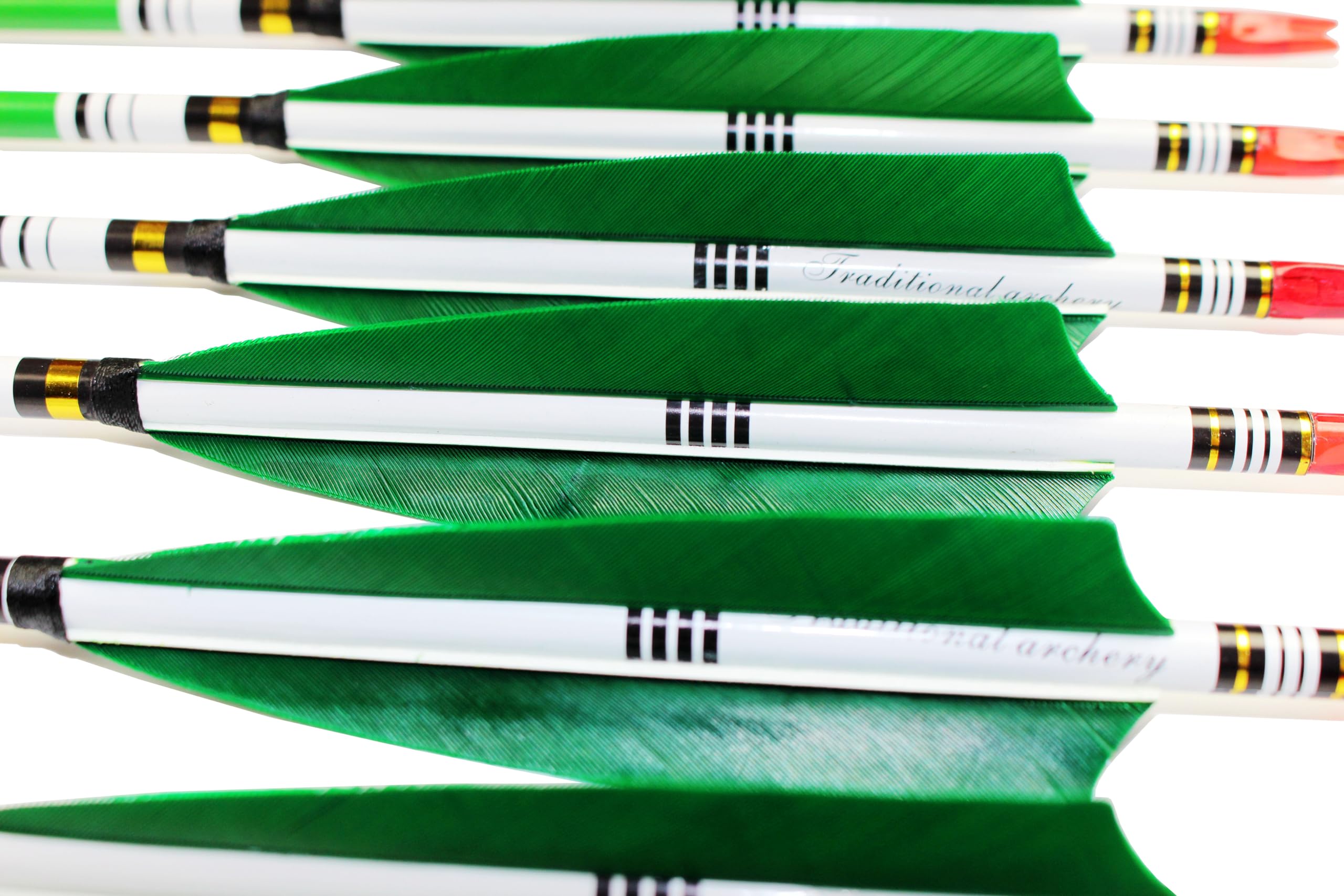 TTFLY FLETCHING 31 inch Carbon Arrows Green Turkey Feather Targeting Arrows Archery with Screw-in Field Tips Hunting&Practice(12 Pack)