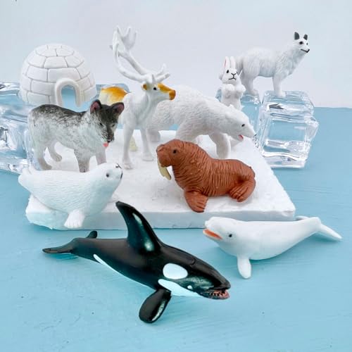 Safari Ltd Arctic TOOB With 10 Fun Figurines, Including A Harp Seal, Husky, Caribou, Arctic Rabbit, Killer Whale, Walrus, Arctic Fox, Beluga Whale, Igloo, And Polar Bear β For Ages 3 and Up