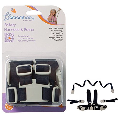 Safety Harness