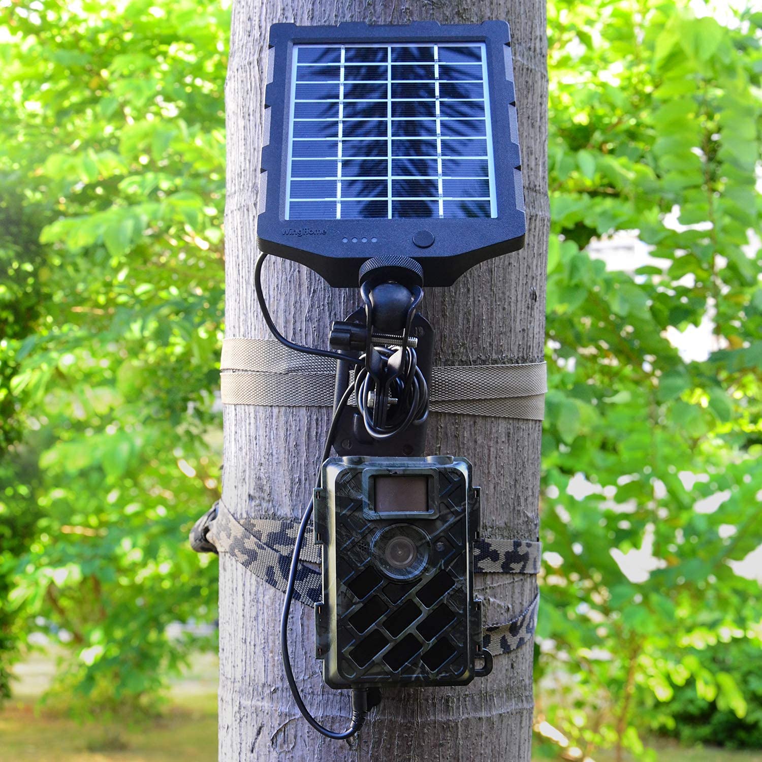WingHome Cellular Trail Camera, Wildlife Trail Hunting Scouting Camera,Farm Monitoring IP66 Waterproof 24MP FHD 4G-LTE No Glow 1080P 0.4S Trigger with APP and SIM Card+ Trail Camera Mounting Bracket