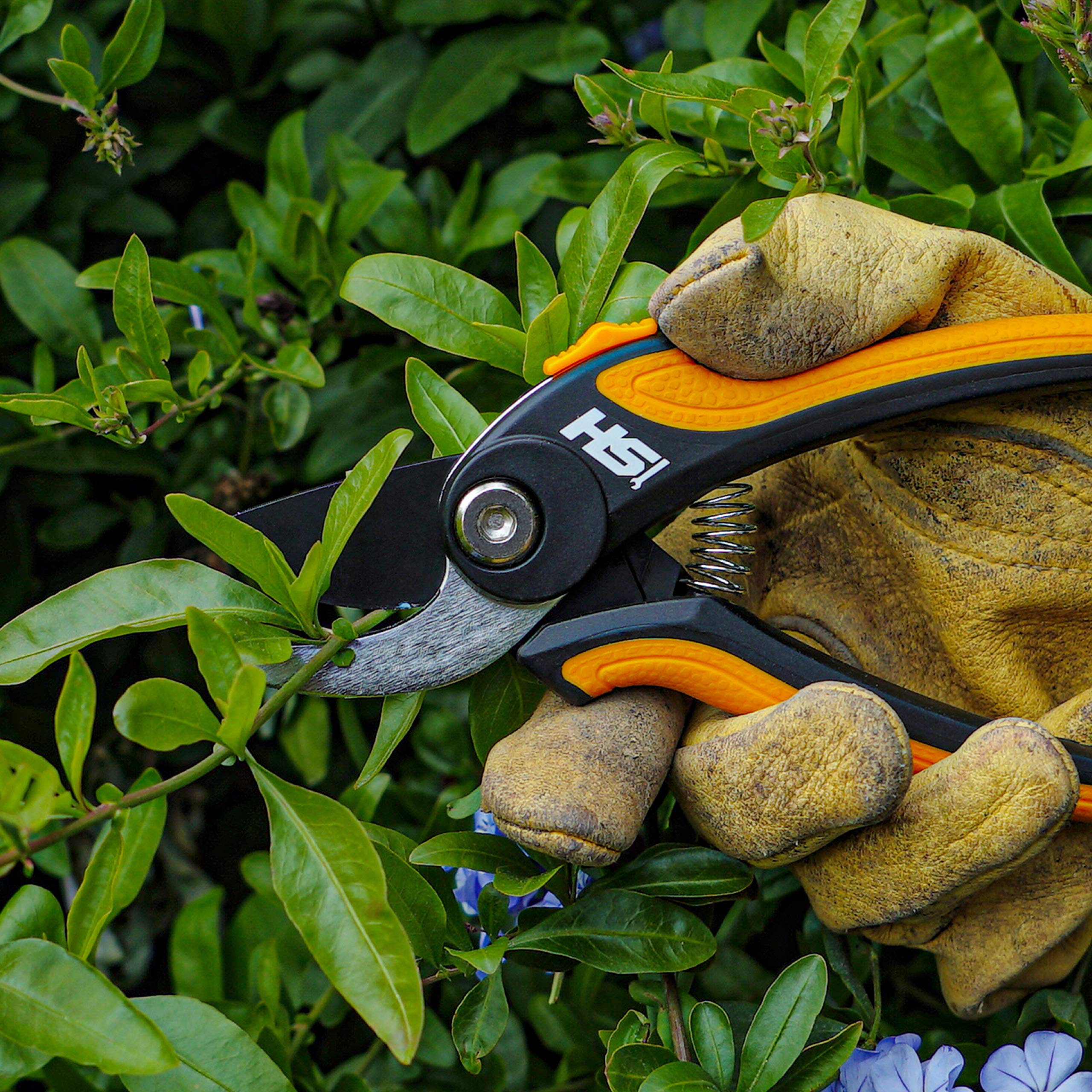 STEELHEAD 7" Bypass Pruning Shears, Non-Stick Rust Resistant Coating, High-Carbon Steel, Sharp, Hand Pruner, Garden Shears, Clippers, Tree Trimmers, Secateurs, 5/8" Cutting Capacity, USA-Based Support