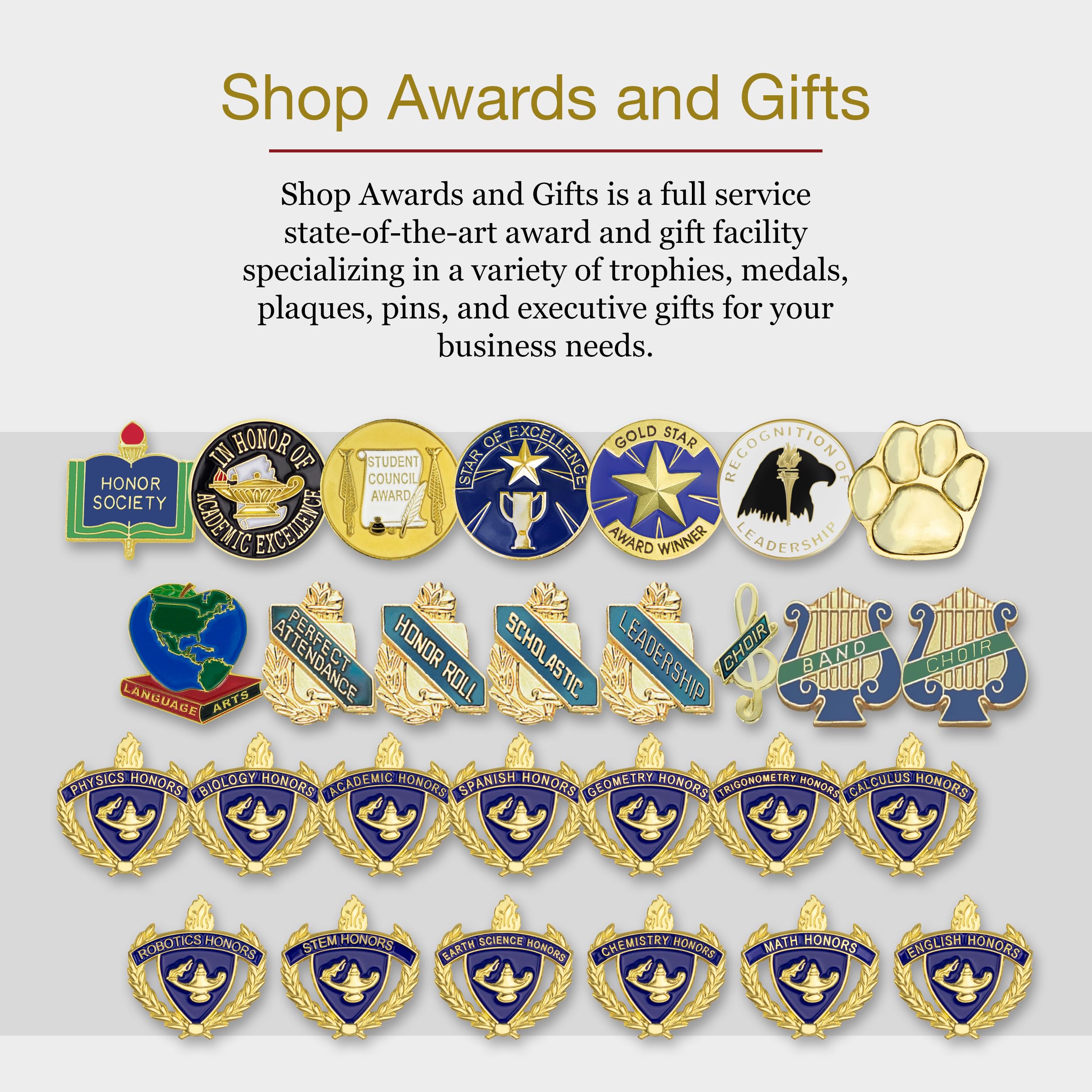 SHOP AWARDS AND GIFTS Star Performer Lapel Pins for Students, Appreciation, Reward, School, Employee Recognition, Bulk Pack of 12, Poly Bagged, 7/8 Inch