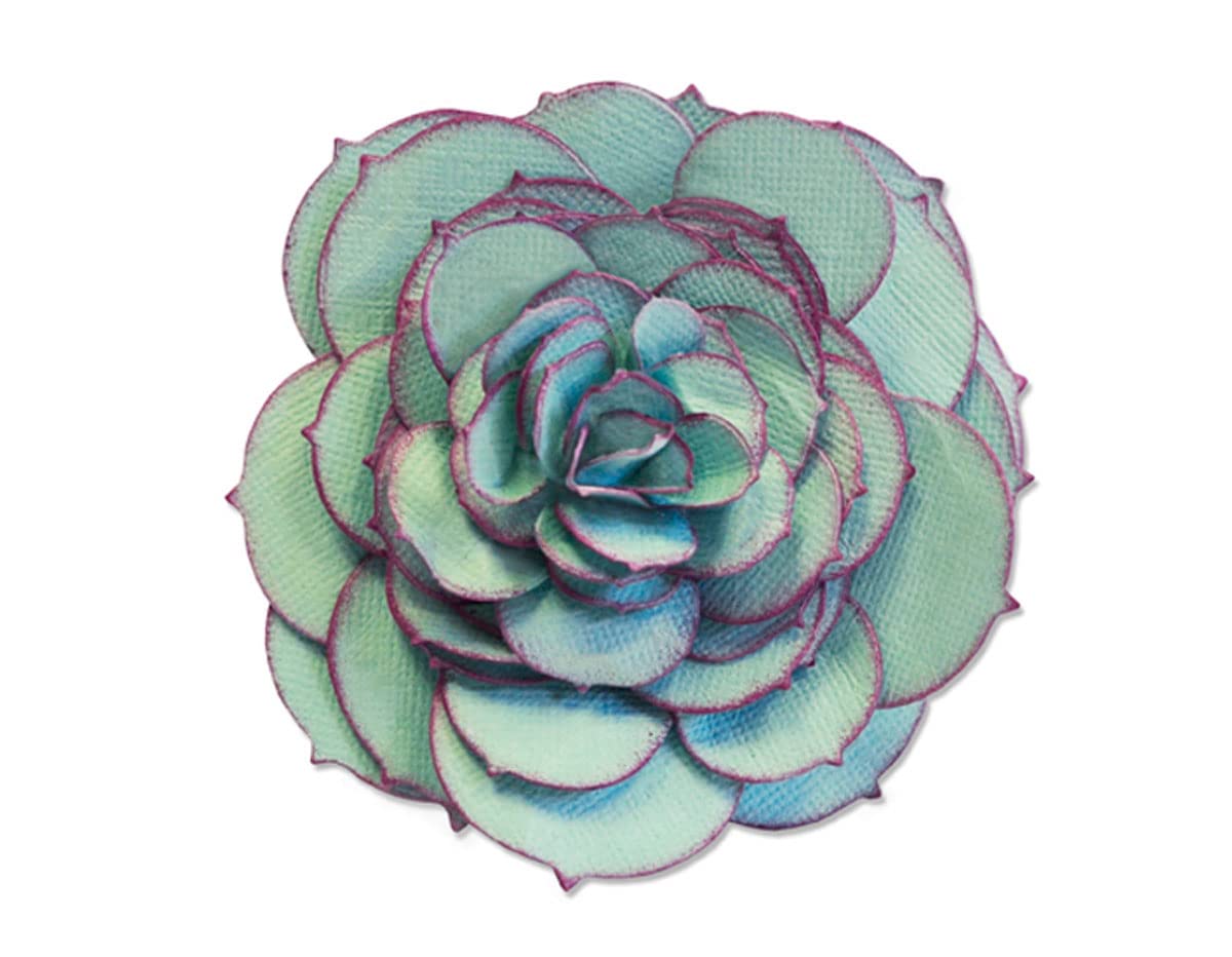 Sizzix Bigz Die Succulent by Sophie Guilar, Wood/Steel/Plastic, Multi-Colour, 17.3 x 14 x 1.9 cm