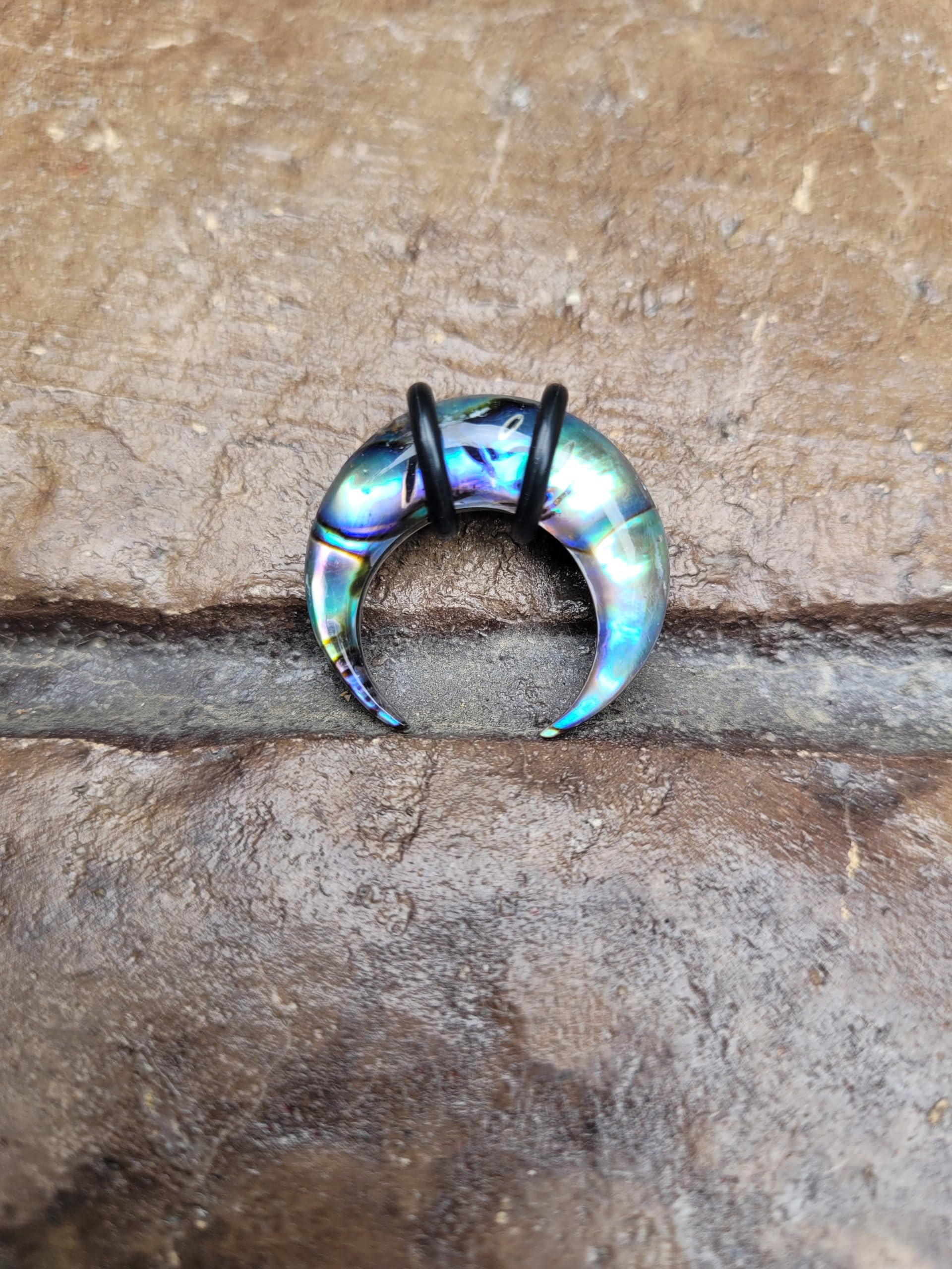 Zaya Body Jewelry Pair Abalone Shell Pinchers Horseshoes 00g 0g 2g 4g 6g 8g Ear Plugs Tunnels Tapers Gauges Septum (2g 6mm)