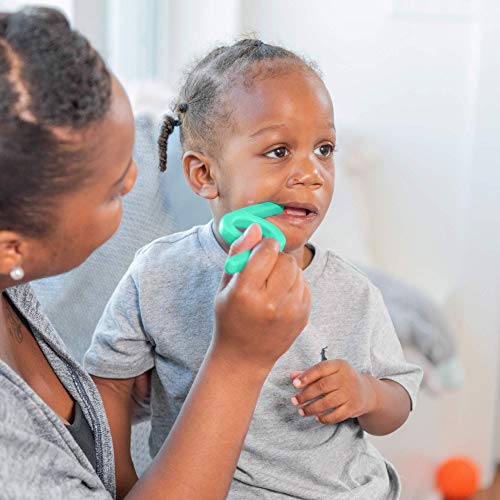 TalkTools Chewy | Oral Motor Sensory Tool for Kids and Toddlers | Therapy Tools to Improve Chewing and Biting (Green and Purple, 2 Count (Pack of 1))
