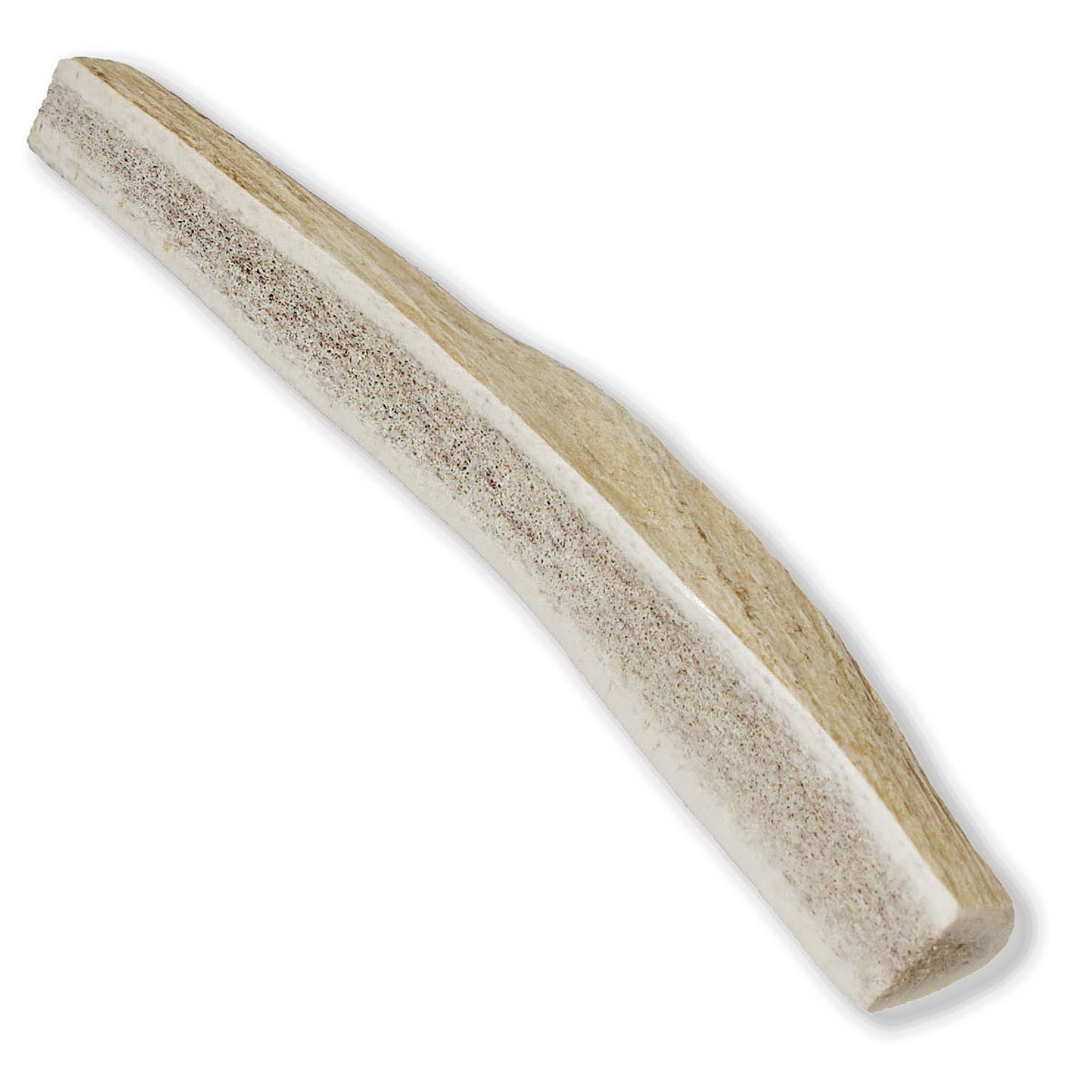 Prairie Dog | Elk Antler Chew | Naturally Shed - Hand Harvested in North America | Large