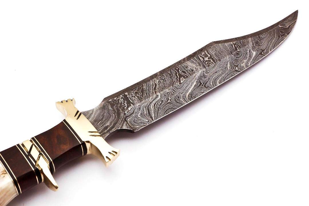 Skokie Knives Damascus Steel hunting Knife Stag Antler Handle with Burl Wood & Brass Guard β15β Handmade Premium Quality Sharp Edge Fix Blade - Genuine Multipurpose Knife β Ideal for Hunting, Camping