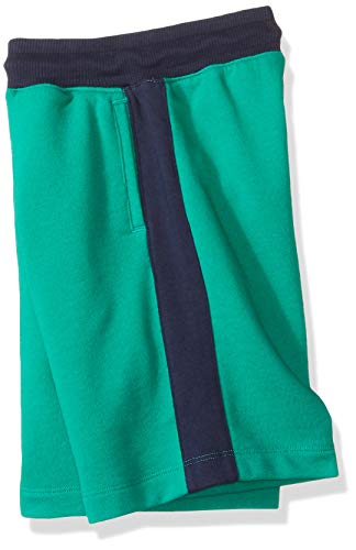 Spotted Zebra Boys' Colorblock French Terry Short, Green, Small
