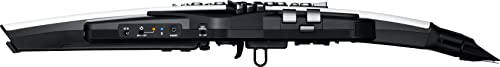ROLAND, Black (AE-20)