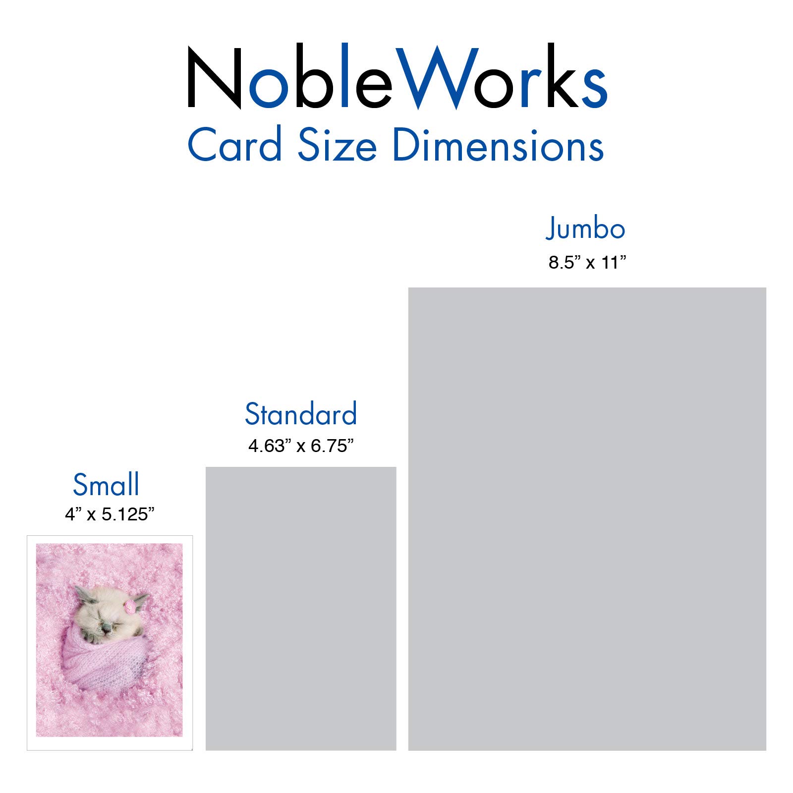 The Best Card Company - 20 Kids Invitation Note Cards with Envelopes (4 x 5.12 Inch) - Box of Assorted RSVP Invites (10 Designs, 2 Each) - Fluffy Furballs AM7168ING-B2x10