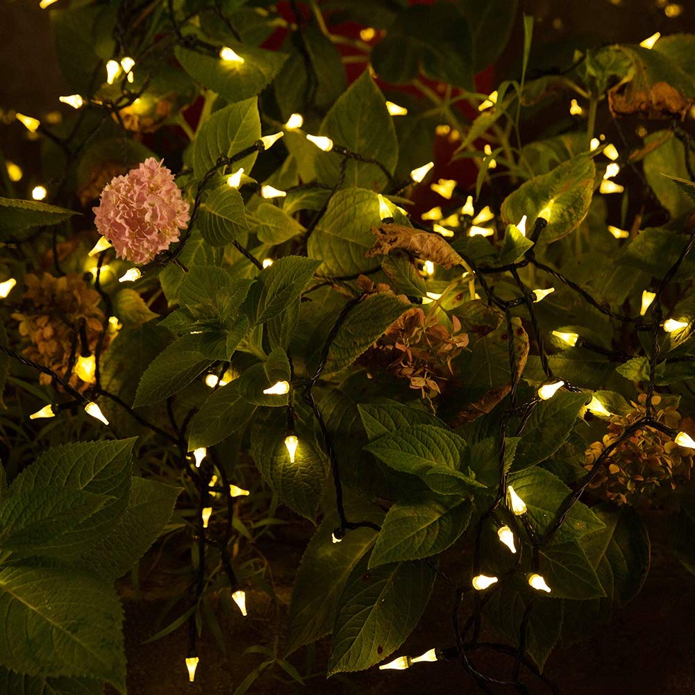 Twinkle Star Outdoor String Lights Christmas Lights 200 LED 66ft Mini Green Wire Fairy Lights with 8 Lighting Modes, Christmas Tree Garden Wreath Party Wedding Indoor Decorations, Warm White