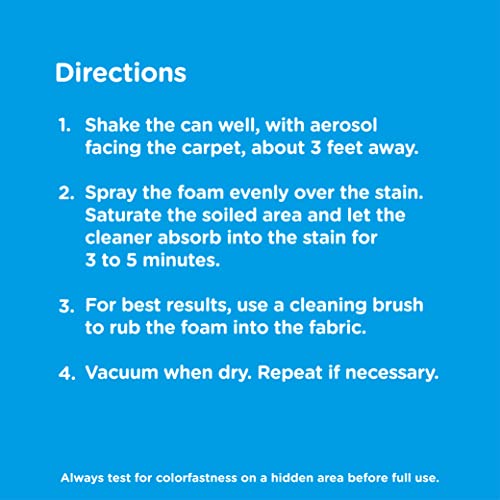 Shout Carpet Aerosol Stain and Odor Foaming Spray with OXY Power | Completely Removes Tough Urine Stains & Prevents Pet from Remarking | Safe for Kids & Pets | Fresh Scent