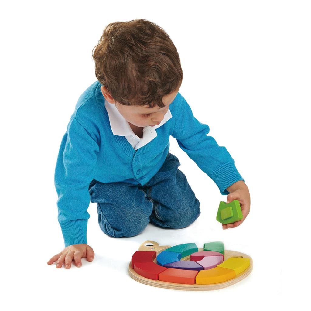 Tender Leaf Toys - Colour Me Happy - 13 Pieces Educational Colour Sorting Wooden Puzzle Toy with 3 Dimensional Shapes Underneath - Early Learning and Preschool Teaching Materials for Children 2+