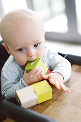 Tegu 15 Piece Magnetic Baby’s First Building Blocks, Tints
