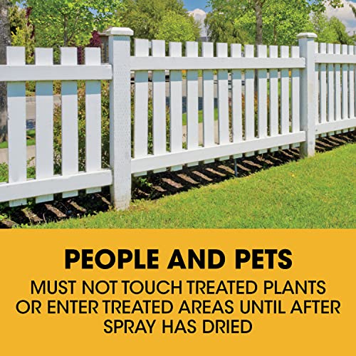 Roundup Concentrate Poison Ivy Plus Tough Brush Killer, 32 oz. (2-Pack)