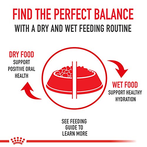Royal Canin Ragdoll Breed Adult Dry Cat Food, 7 lb bag