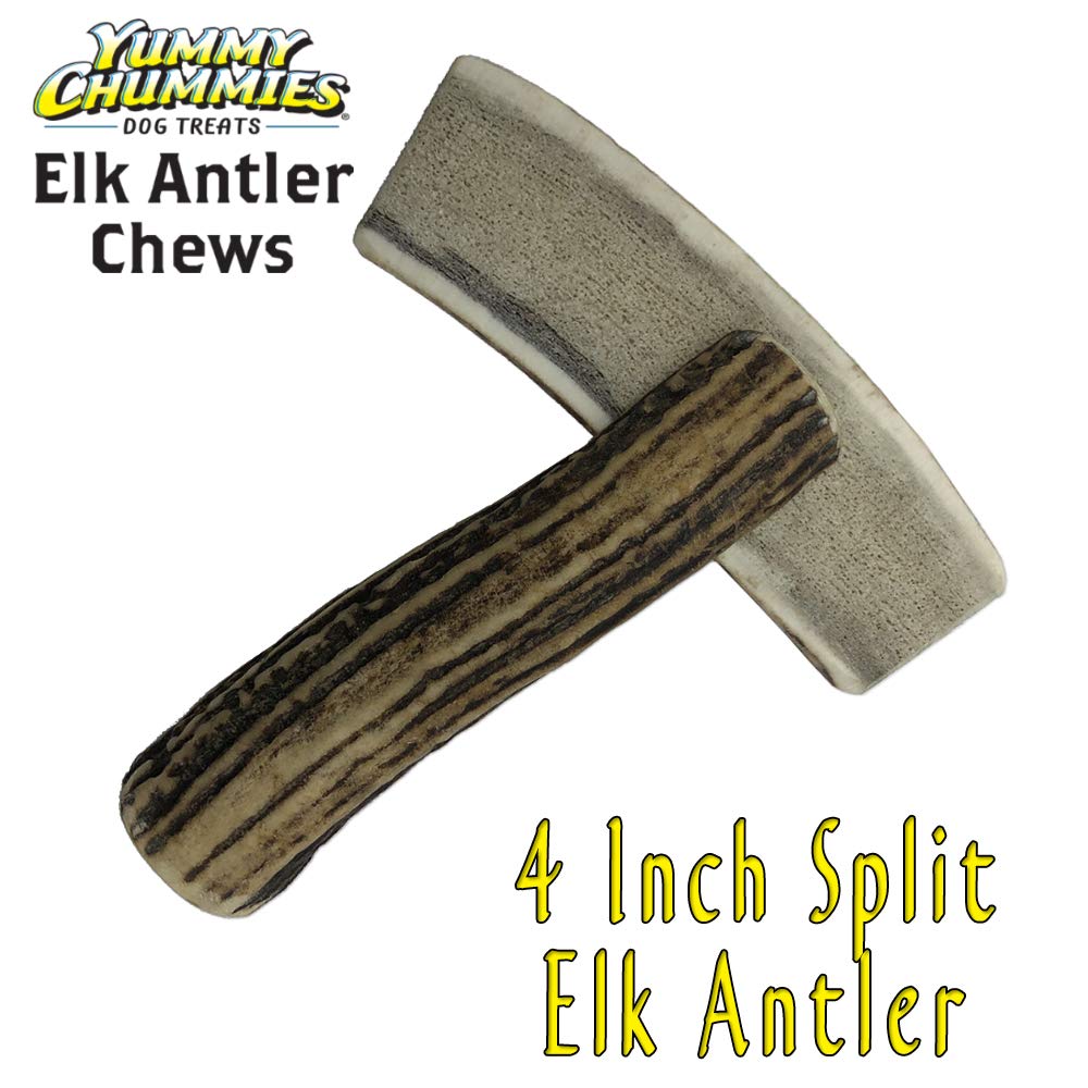 Yummy Chummies 2 Pack Grade A Elk Antler Chews 4 Inch Split 100% Elk Antler Dog Chews
