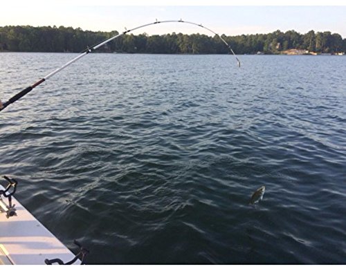 Shakespeare Ugly Stik 8’ Catfish Spinning Rod, Two Piece Catfish Rod, 15-30lb Line Rating, Medium Heavy Rod Power, Moderate Fast Action, 1/2-3 oz. Lure Rating