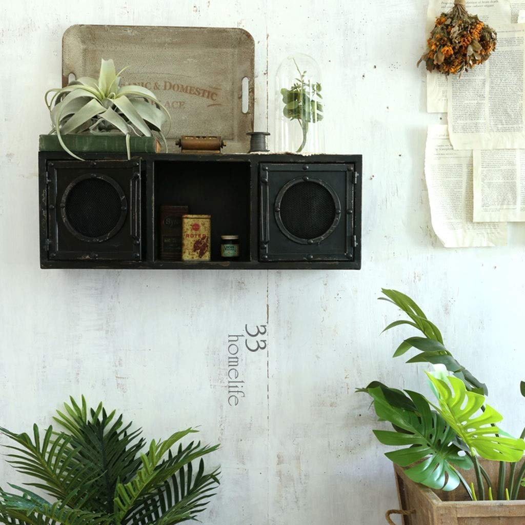 RANRANJJ Rustic Metal Wall Mounted Double Door Storage Cabinet