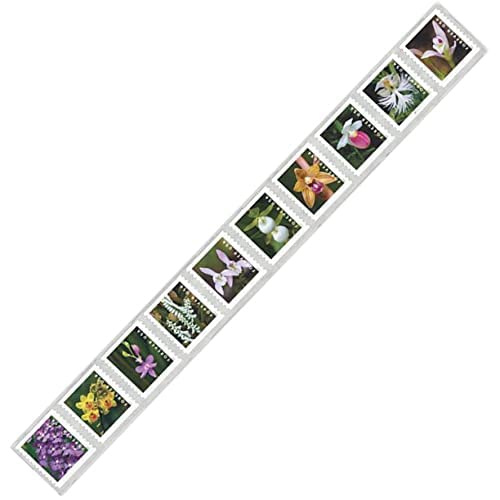 USPS Wild Orchids Flowers Forever Stamps Postal First Class US Postage Stamps Birthday Wedding Celebration Engagement Anniversary Bridal Shower (Strip of 10)