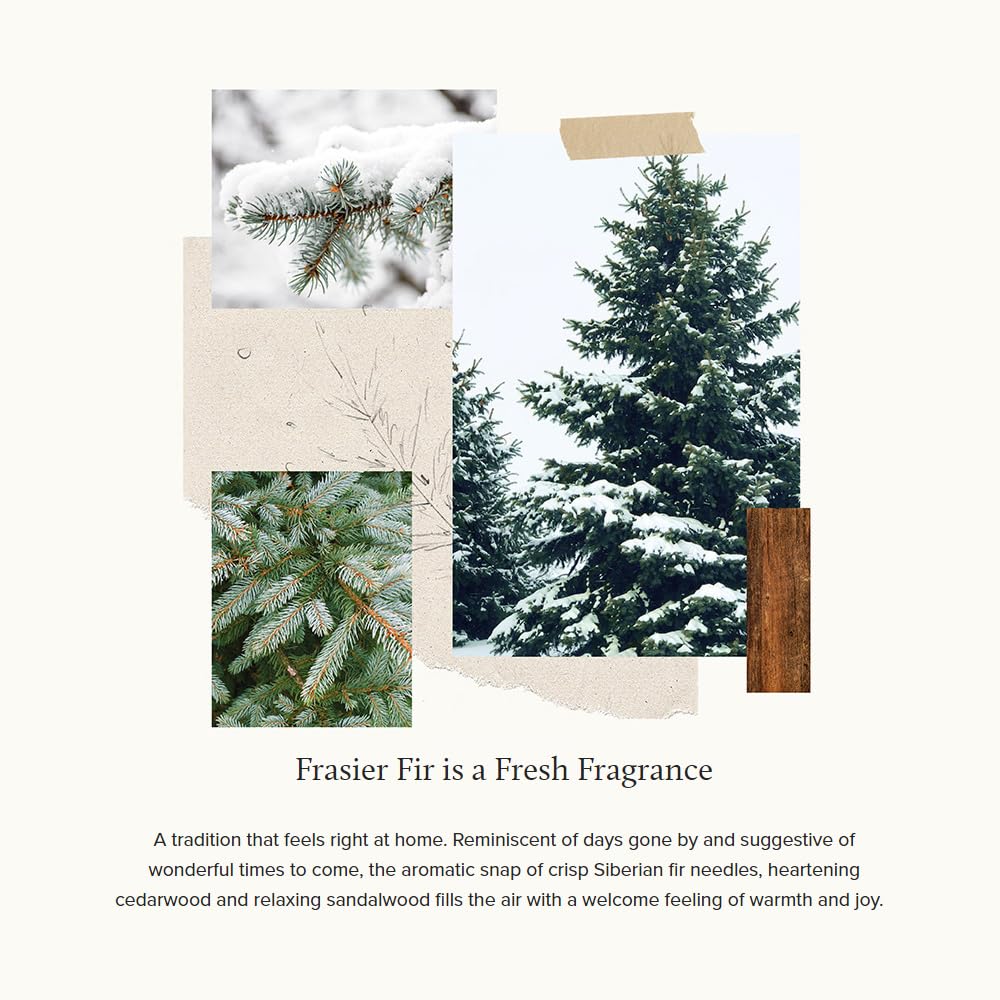 Thymes Votive Gold Candle - 2 Oz - Frasier Fir