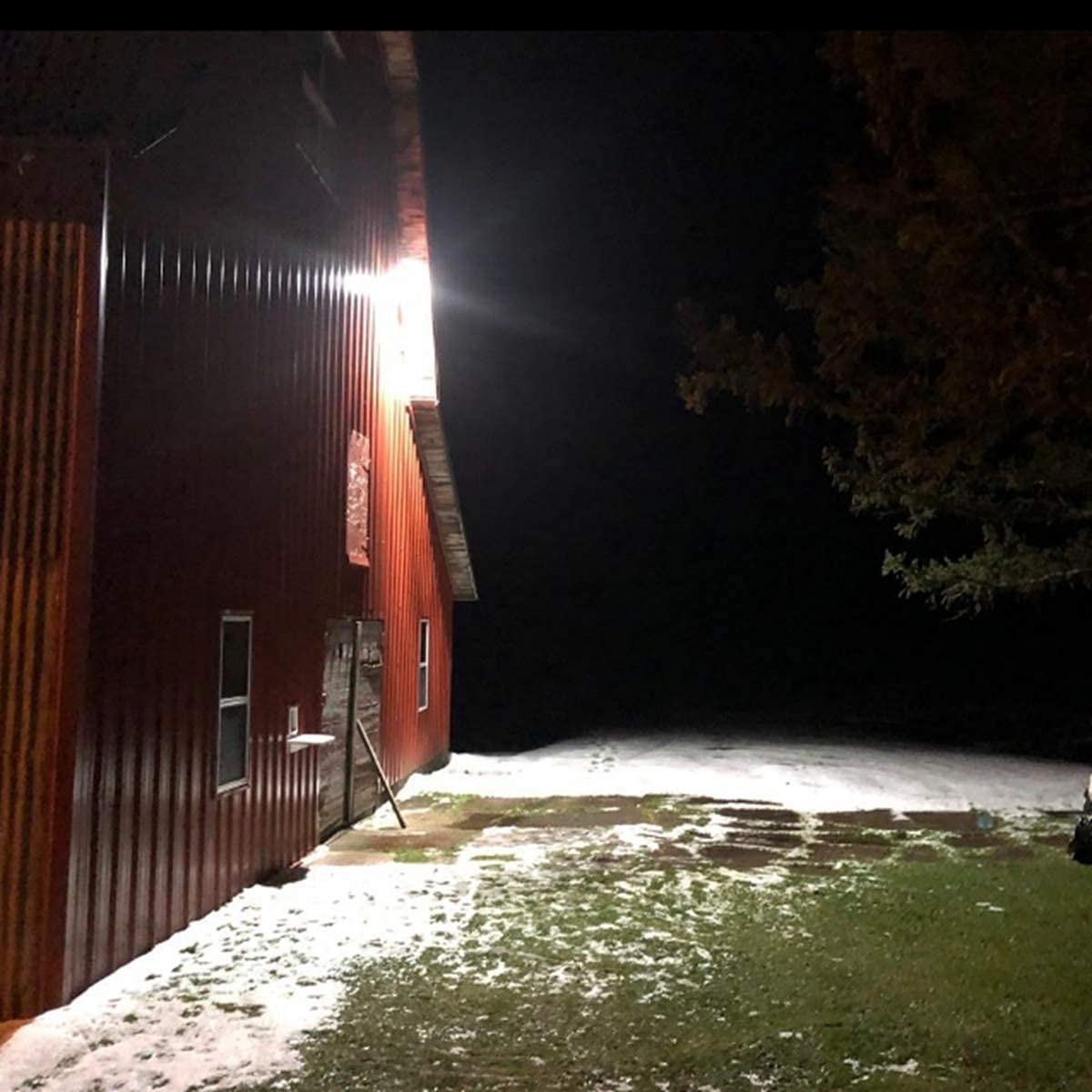 TERRASON LED Security Area Light 43 Watts - Barn Light Dusk to Dawn with Photocell - Ultra Bright Yard Light 5500 Lumens, 5000K, 400W Incandescent or 150W HID Light Equal