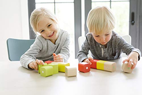 Tegu 15 Piece Magnetic Baby’s First Building Blocks, Tints