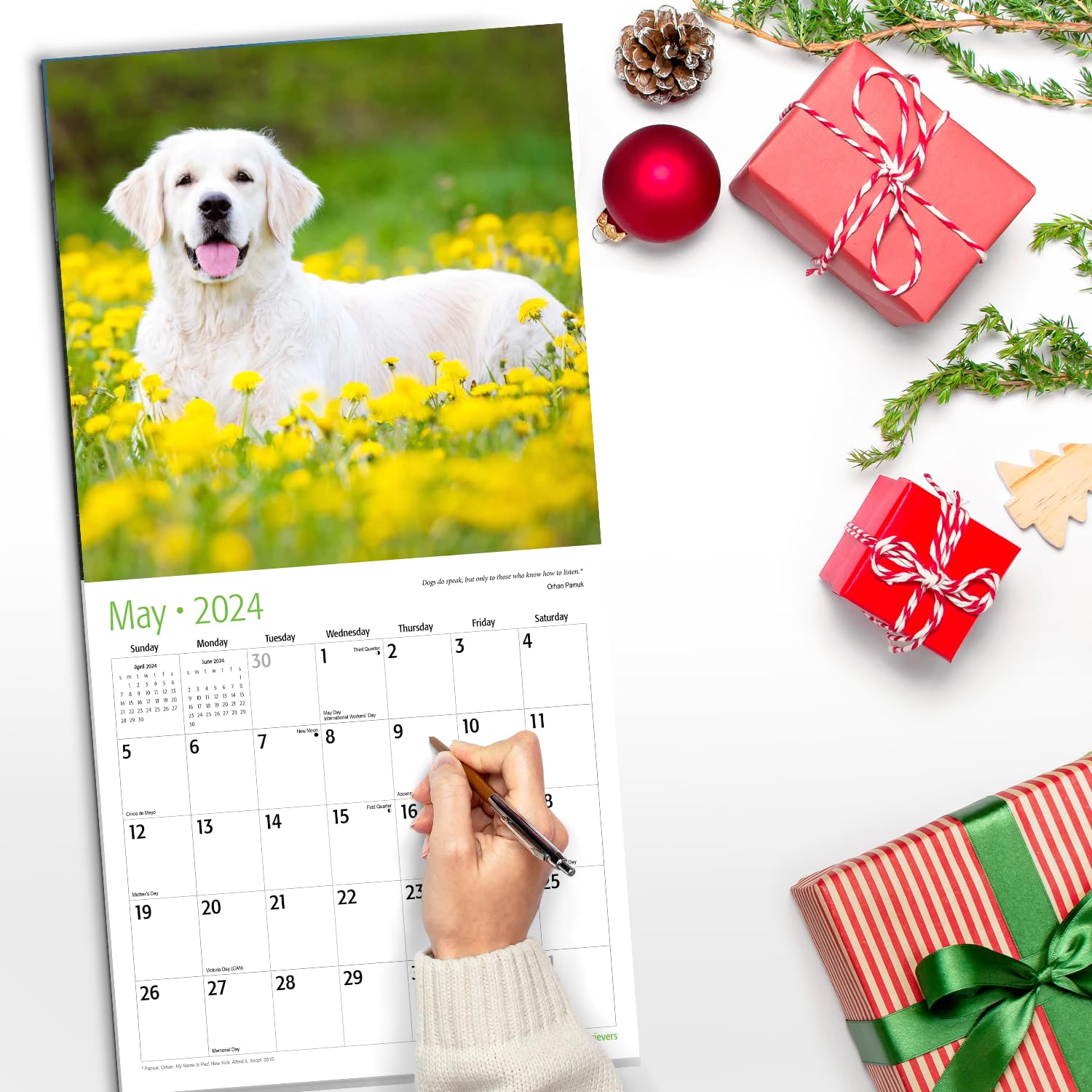 RED EMBER Golden Retrievers 2024 Hangable Monthly Wall Calendar | 12" x 24" Open | Thick & Sturdy Paper | Giftable | Cute Dog | Loveable, Easygoing Goldens