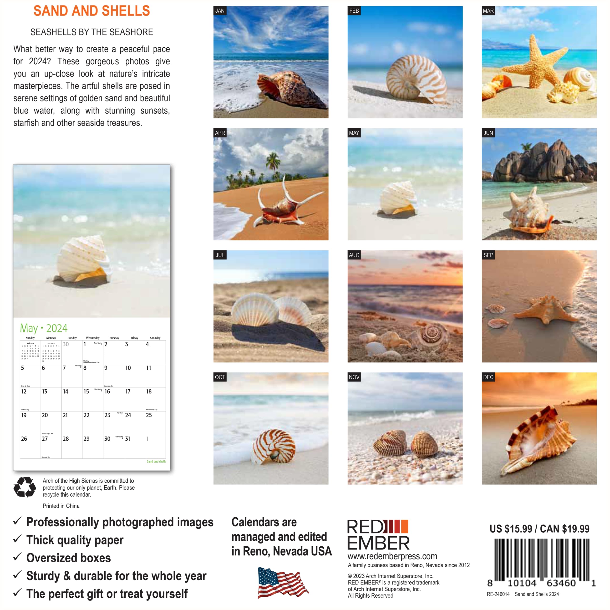 RED EMBER Sand and Shells 2024 Hangable Monthly Wall Calendar | 12" x 24" Open | Thick & Sturdy Paper | Giftable | Beautiful Beaches Nature | Seashells by the Seashore