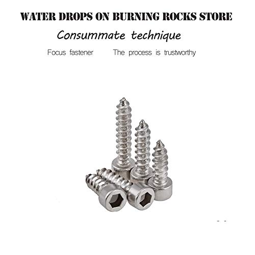 Screw 20pcs M512/14/16/20/25/30/35/40 Stainless Steel 304 hex Socket Cap Head self Tapping Screw - (Size: M5, Length: 30mm)