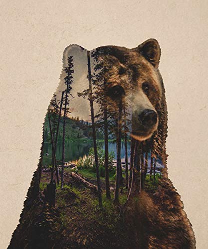 Rustic Double Exposure Bull Moose and Bear Landscape Set; Cabin Lodge Decor; One 11x14 and One 14x11in Gold Trim Brown Framed Poster Print